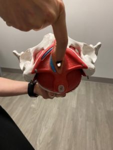 Pelvic Floor Therapy Internal Splinting Guidelines | JAG PT
